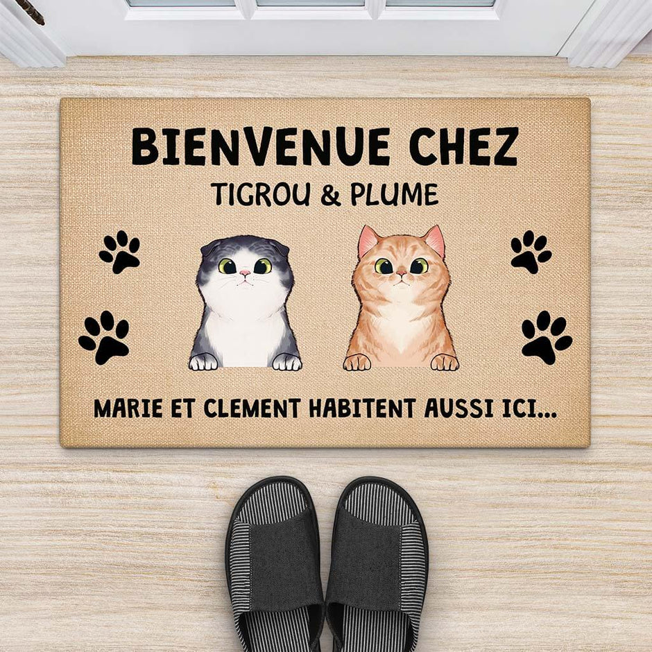 Paillasson Personnalisé Chat | Idée Cadeau Chat - Cadeau Plus