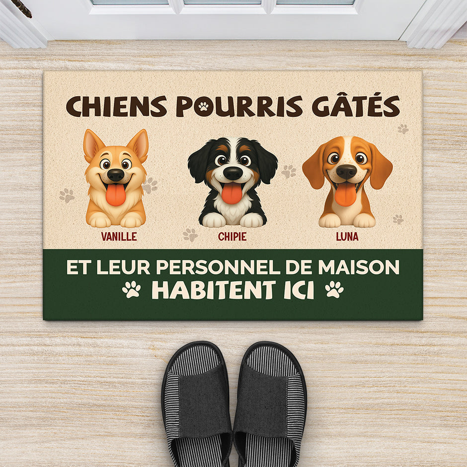 Paillasson Personnalisé Chien Original Et Résistant - Cadeau Plus